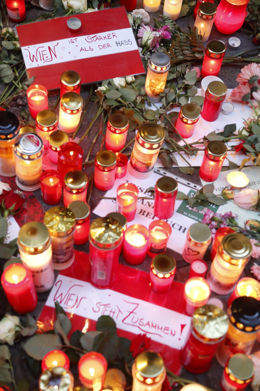 The Network of the November 2020 Vienna Attacker and the Jihadi Threat ...