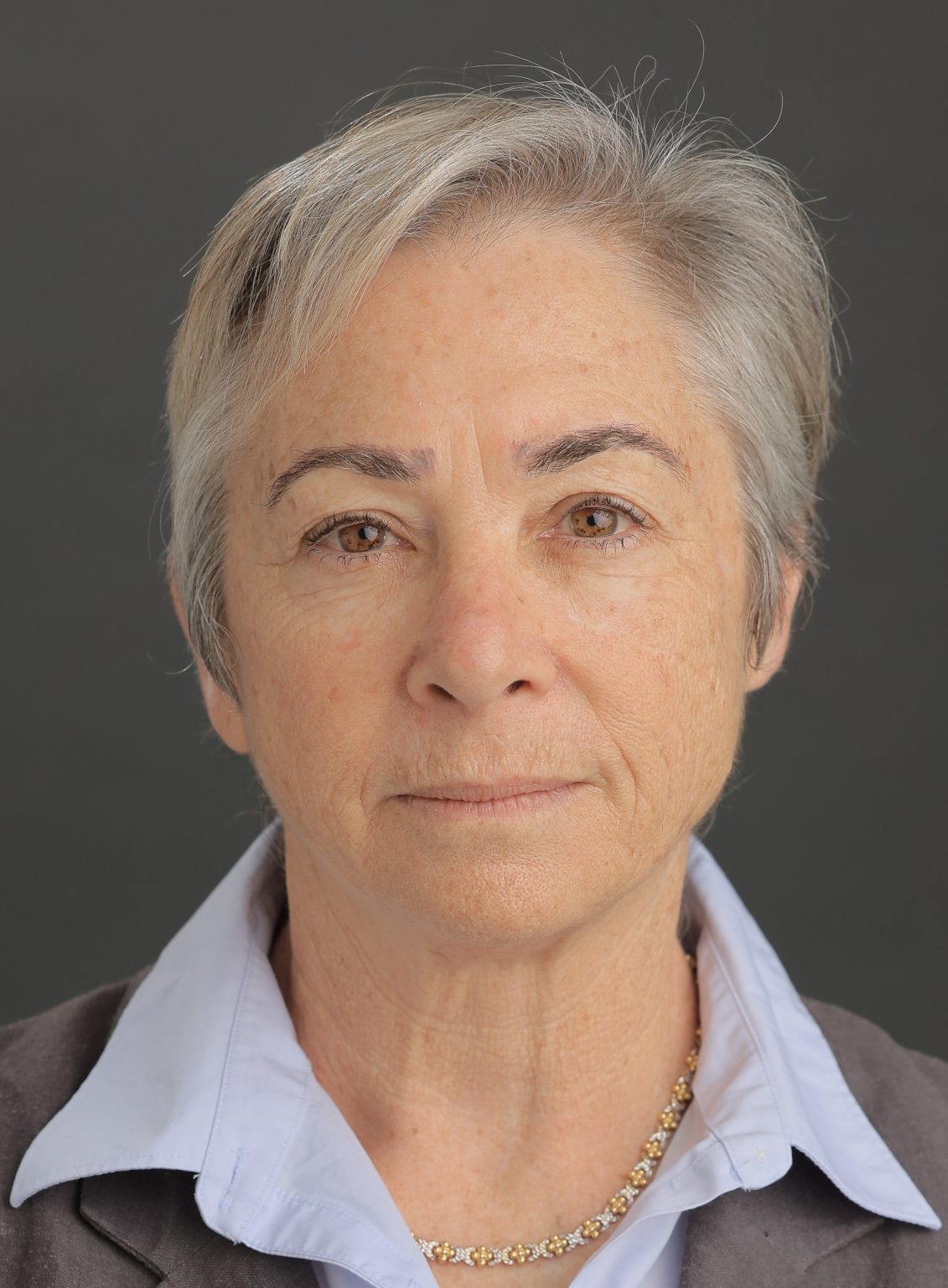 A View from the CT Foxhole: Colonel (Ret.) Miri Eisin, Director ...