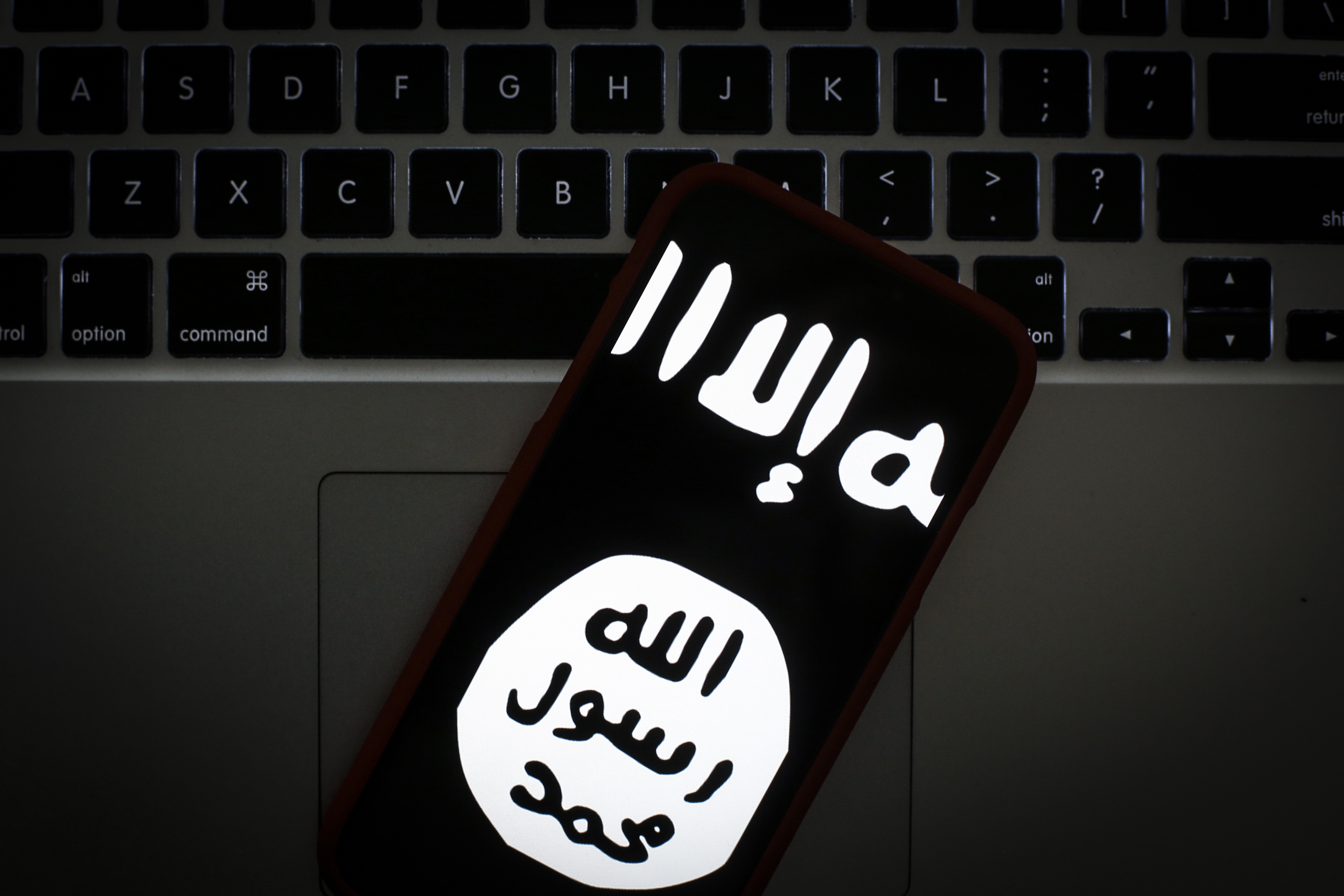 Teenage Terrorists and the Digital Ecosystem of the Islamic State ...